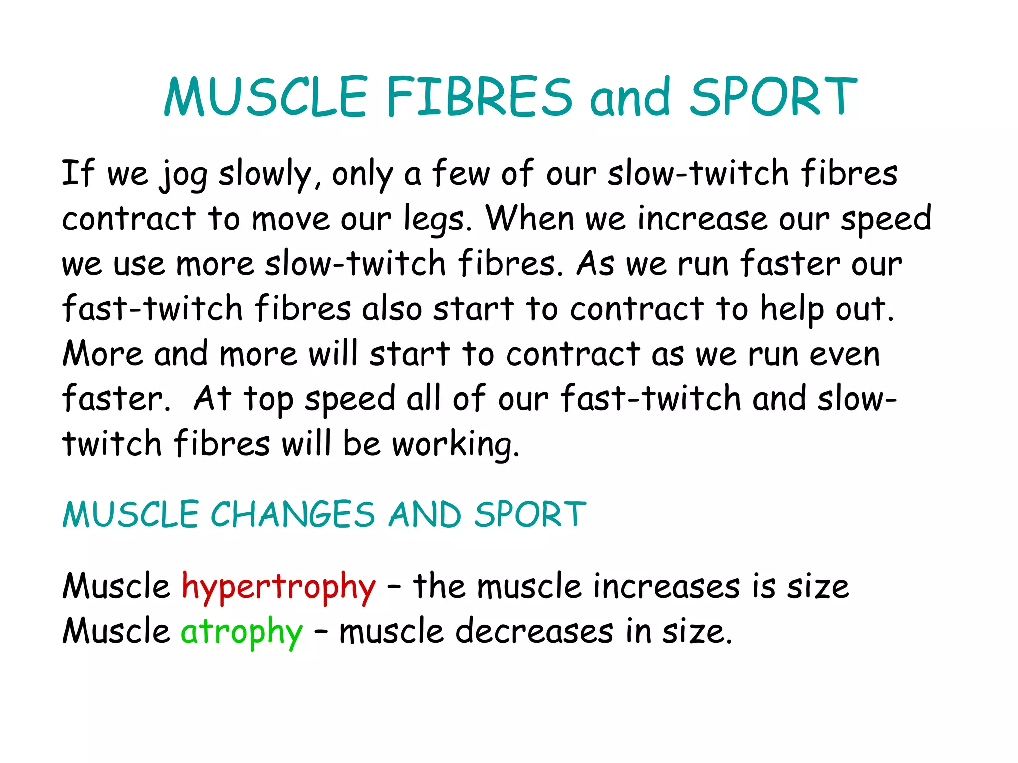 The muscular system powerpoint | PPT