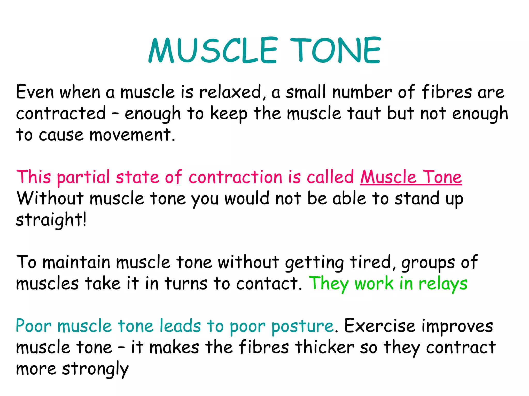 The muscular system powerpoint | PPT