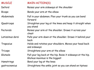 The muscular system powerpoint | PPT