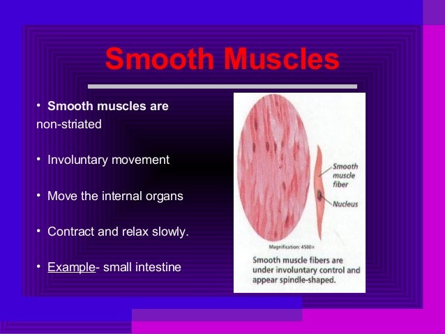 Non Striated Voluntary Muscle