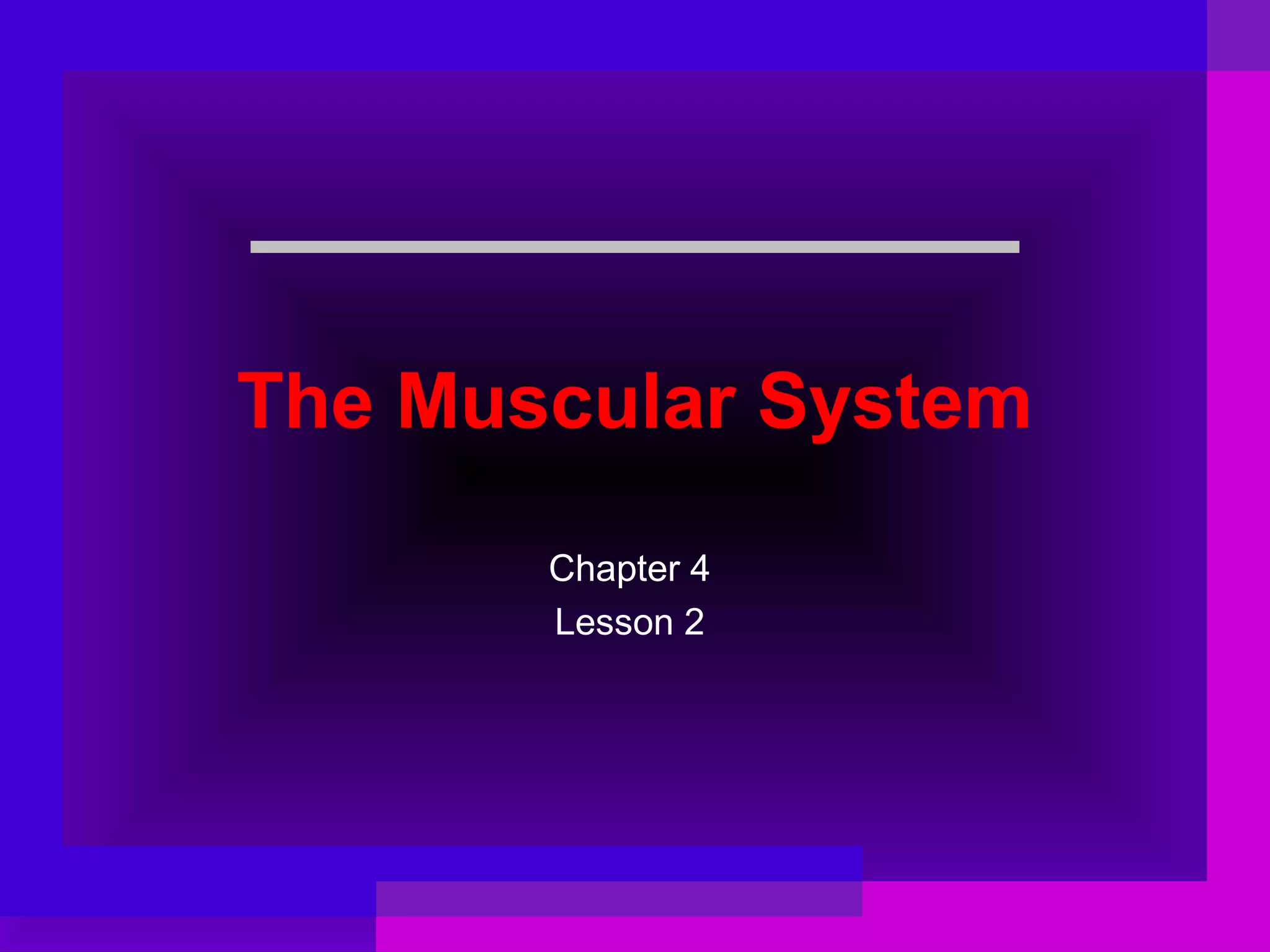 Muscular System | PPT