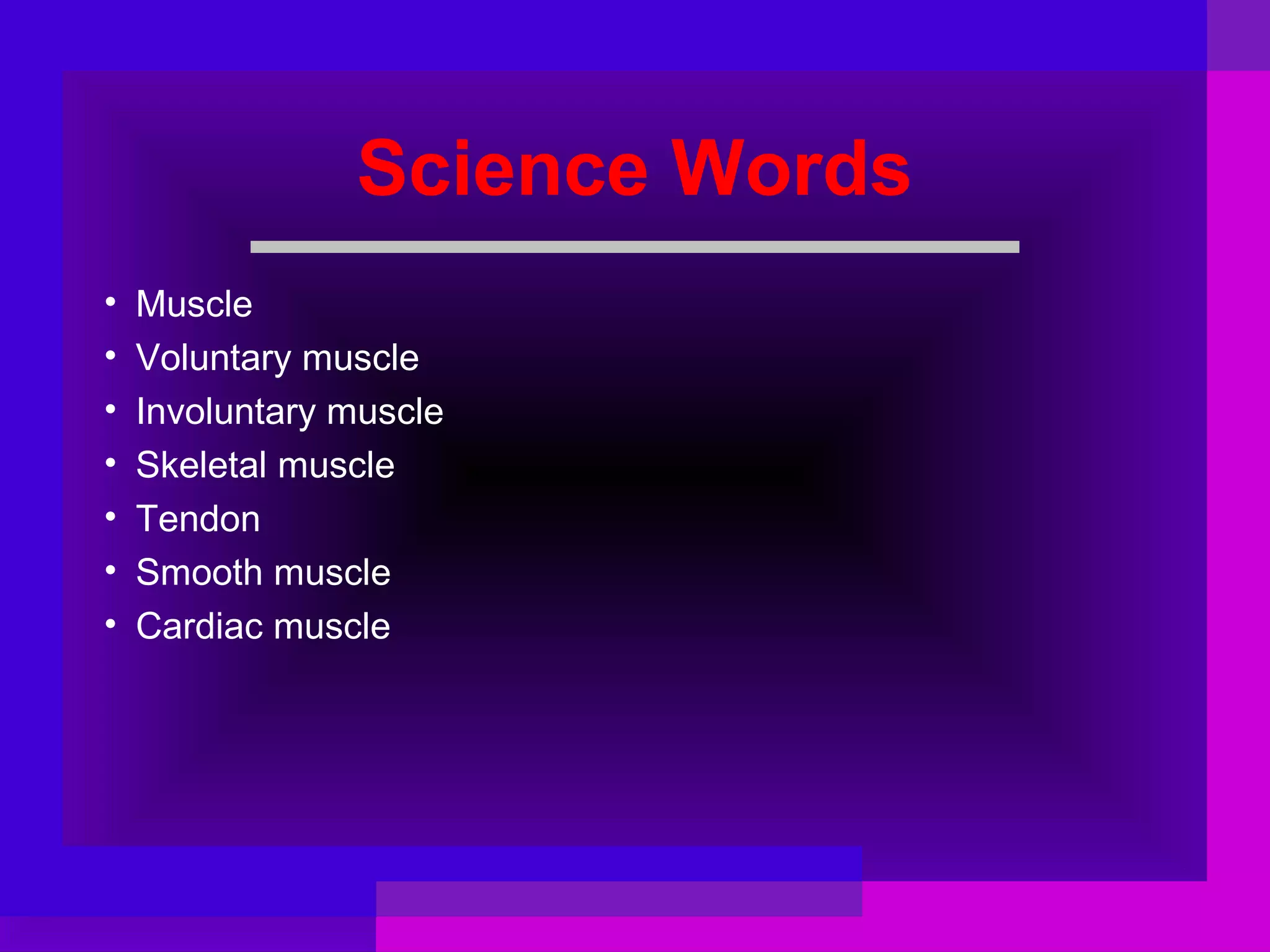 Muscular System | PPT