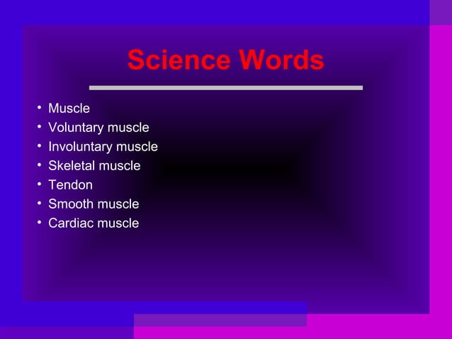 Muscular System | PPT