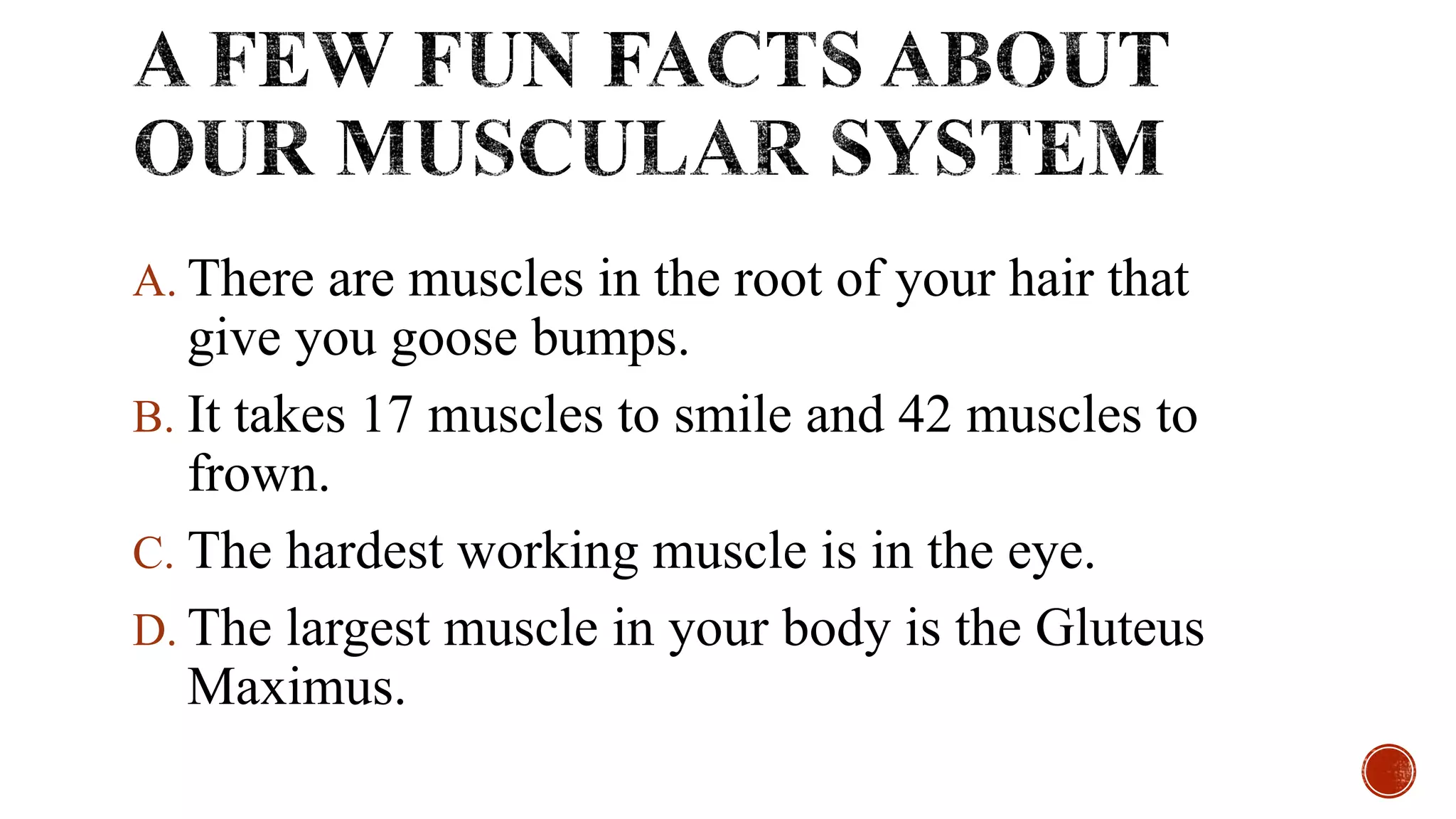 The muscular system | PPT