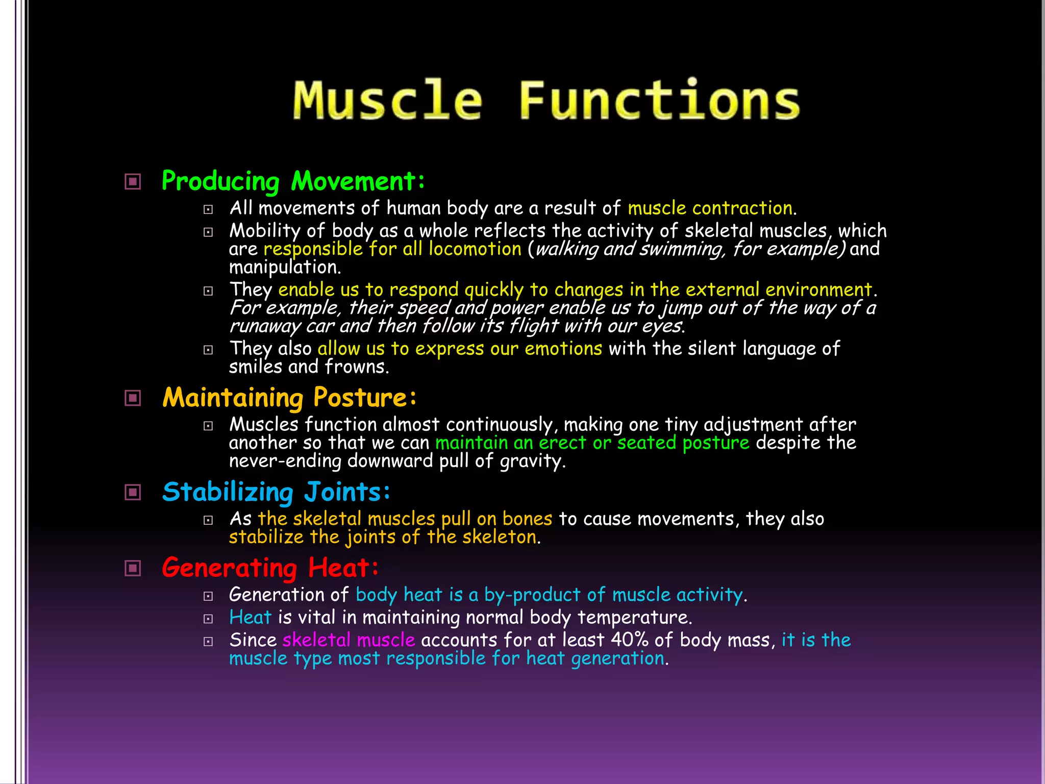 The muscular system (slide show) | PPSX