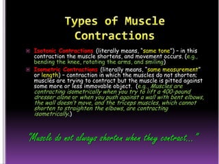The muscular system (slide show) | PPSX