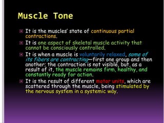 The muscular system (slide show) | PPSX
