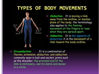 The muscular system (slide show) | PPSX