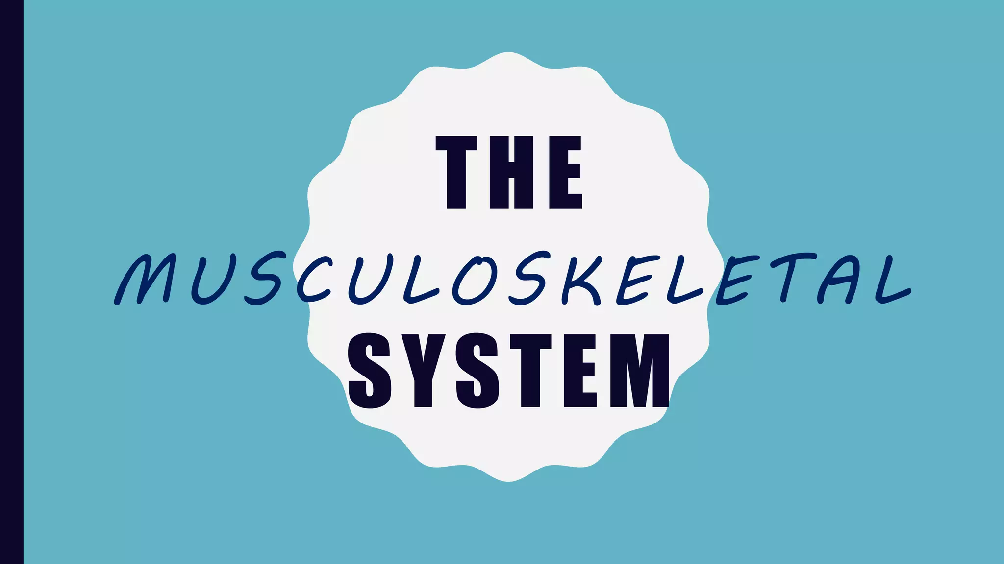 The musculoskeletal system Grade 6 | PPTX