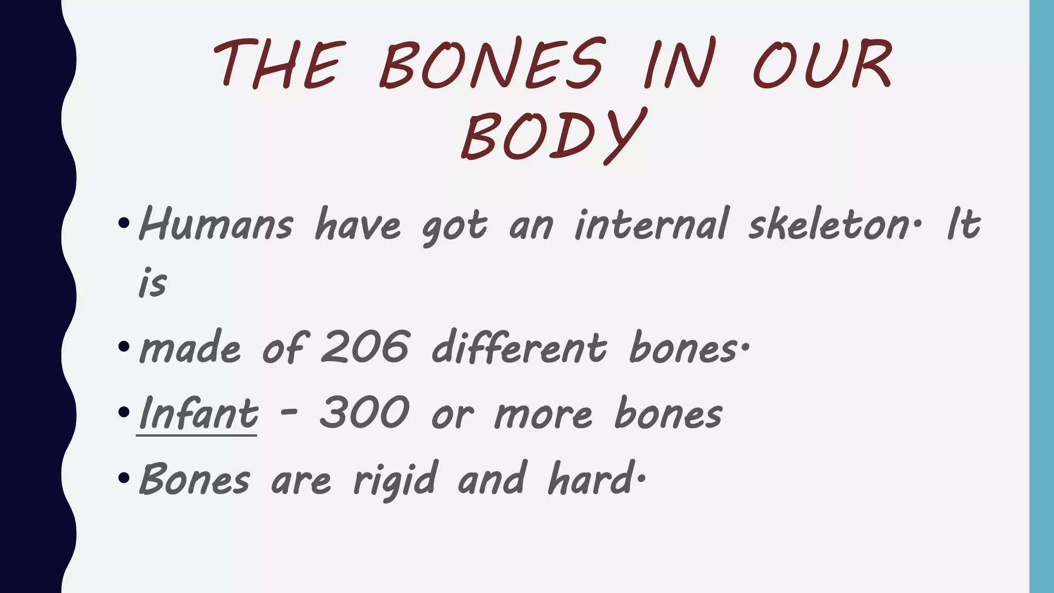 The musculoskeletal system Grade 6 | PPTX