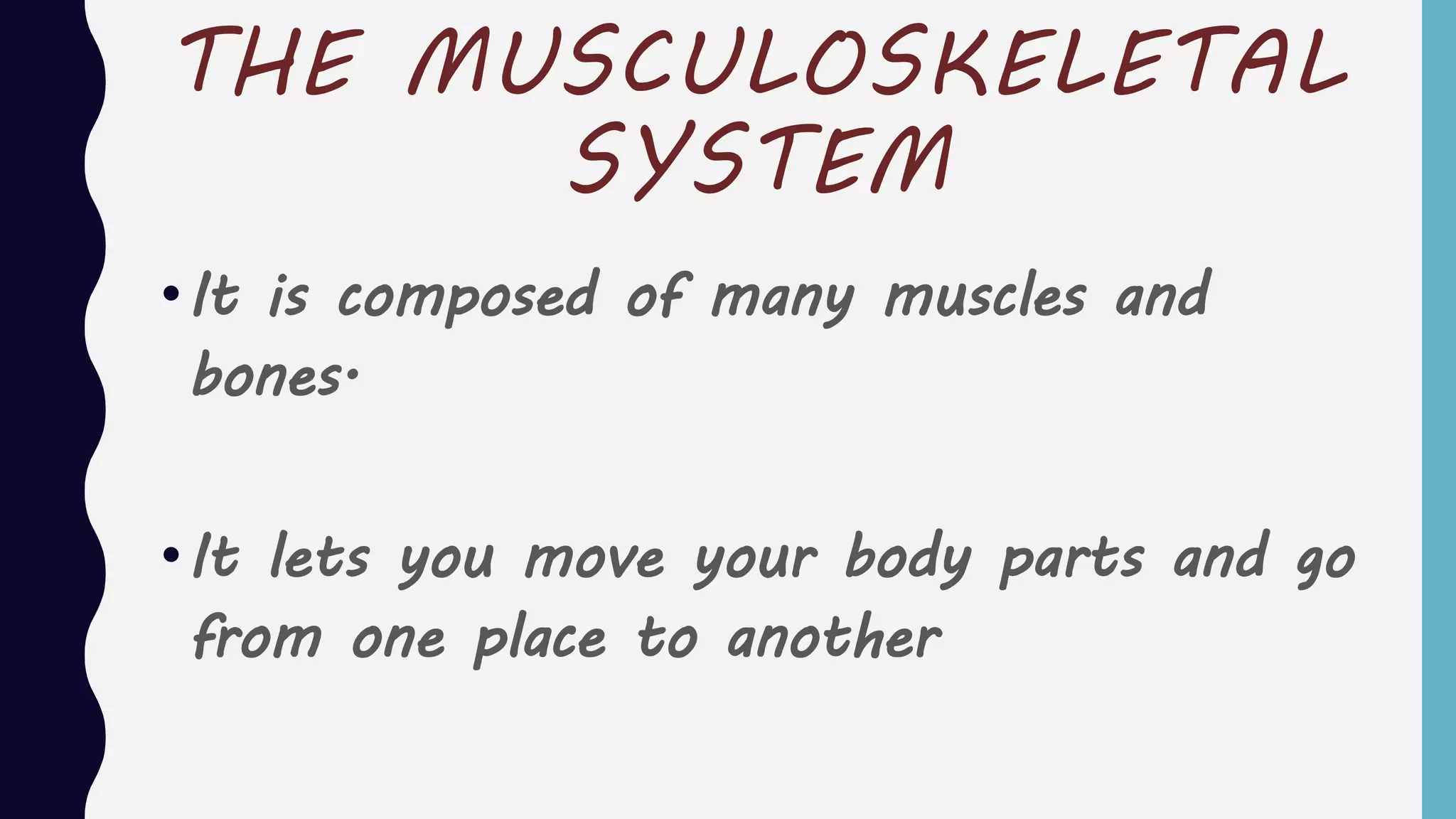 The musculoskeletal system Grade 6 | PPTX