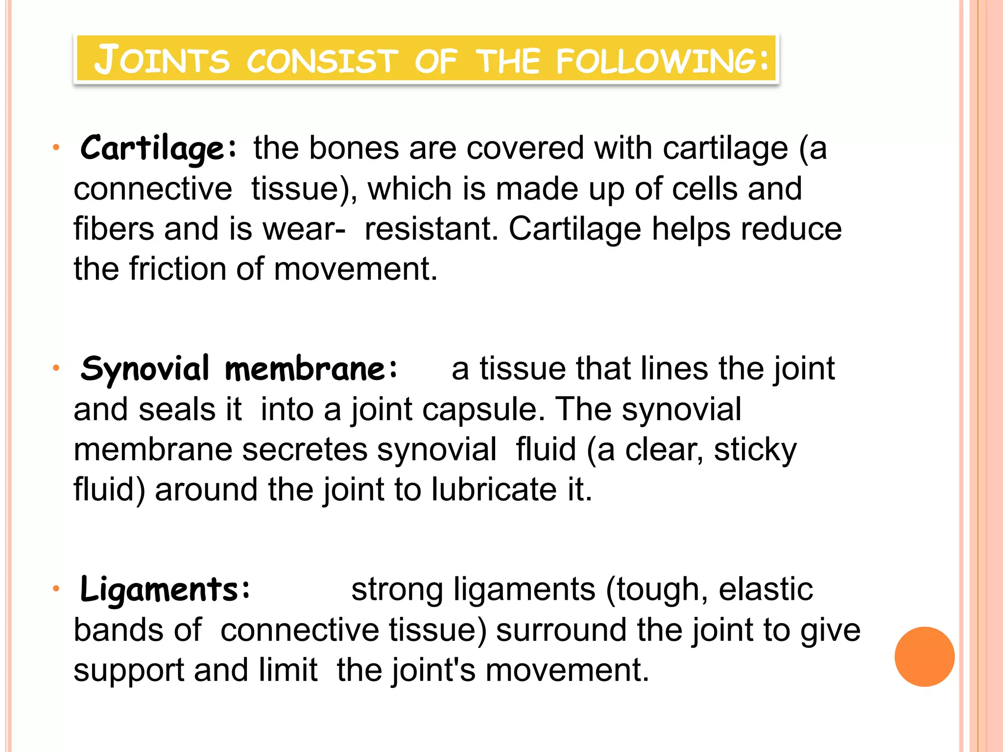 The Musculoskeletal system | PPTX