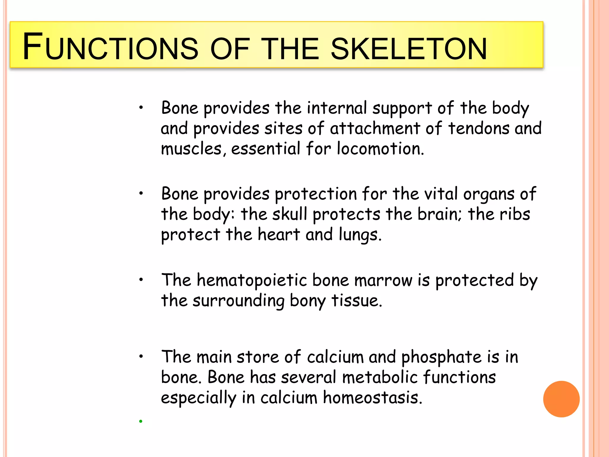The Musculoskeletal system | PPTX