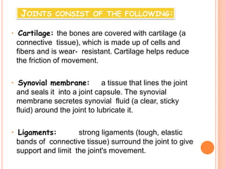 The Musculoskeletal system | PPT