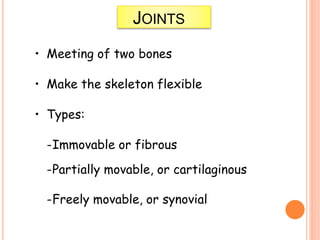 The Musculoskeletal system | PPT