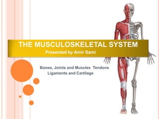 The Musculoskeletal system | PPT