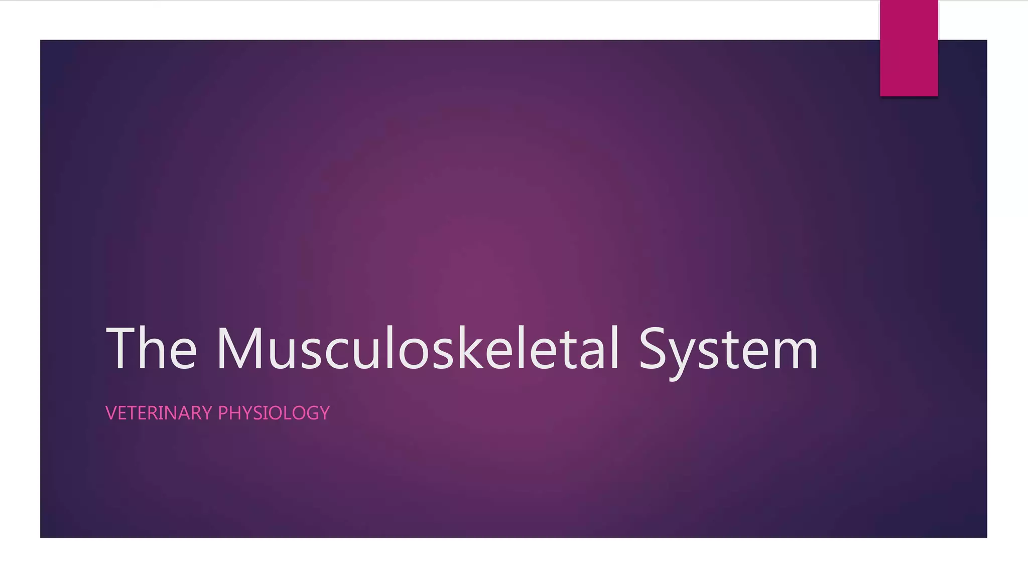The Musculoskeletal System | PPT