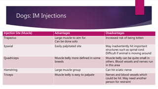 The Musculoskeletal System | PPT