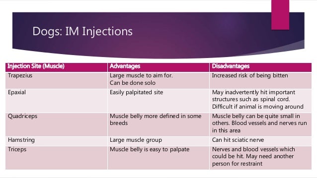 The Musculoskeletal System