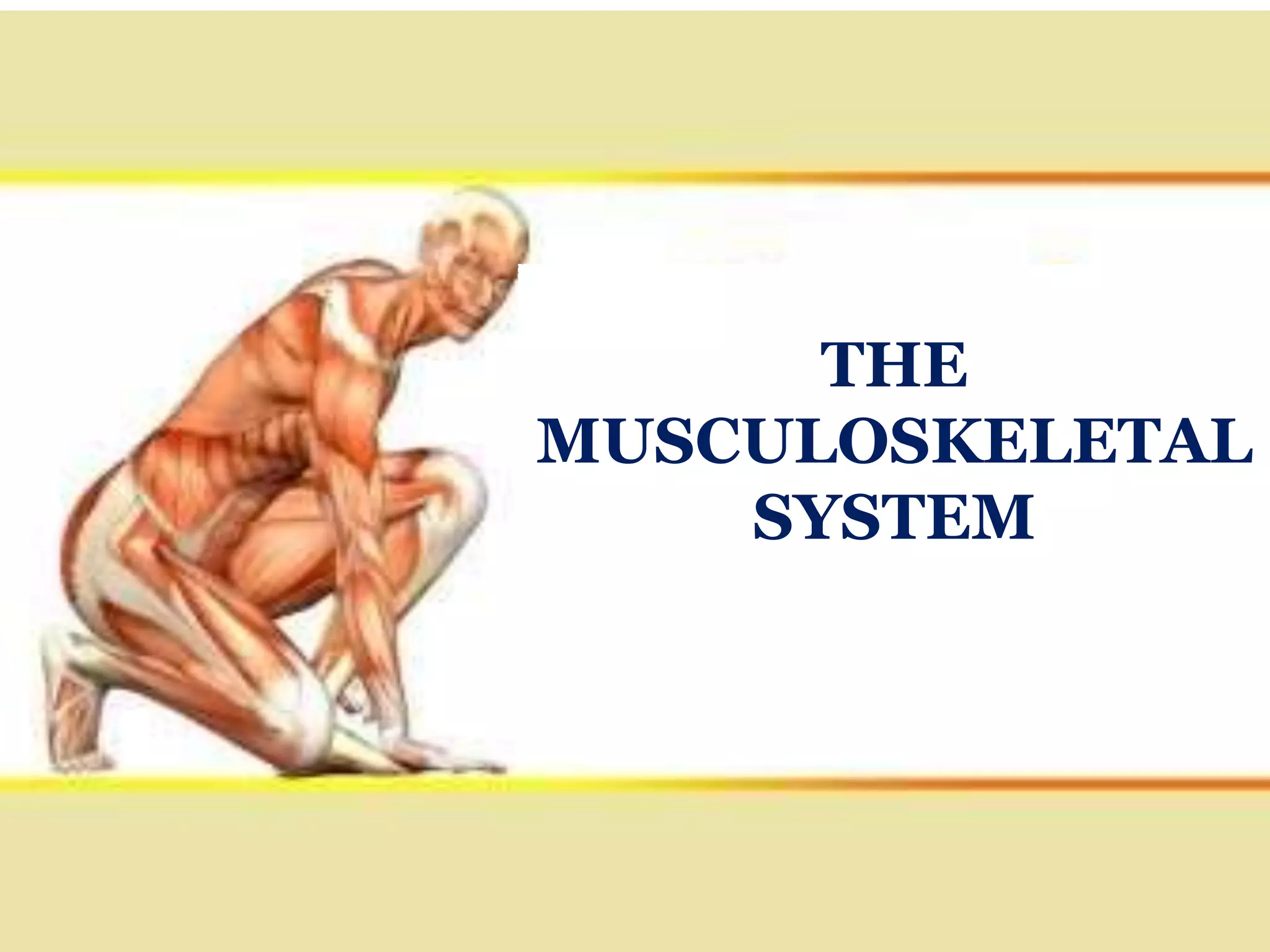 The musculoskeletal system Anatomy and physiology | PPTX