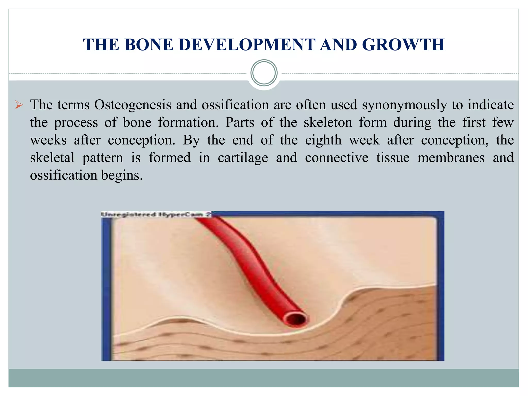 The musculoskeletal system Anatomy and physiology | PPTX