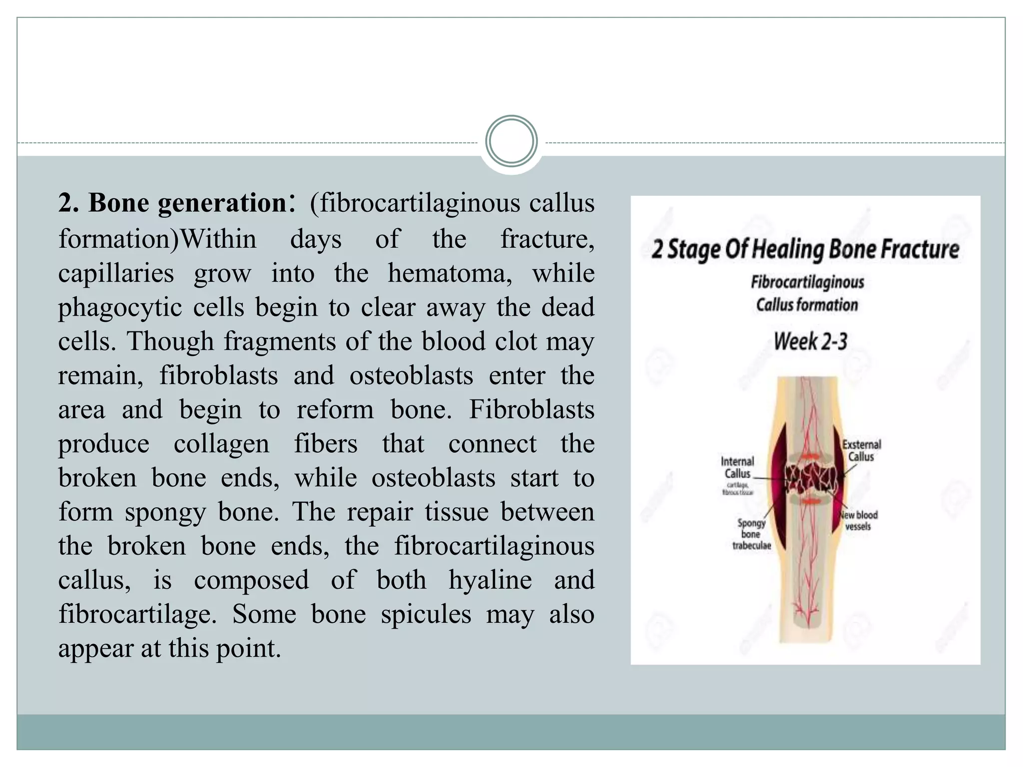 The musculoskeletal system Anatomy and physiology | PPTX