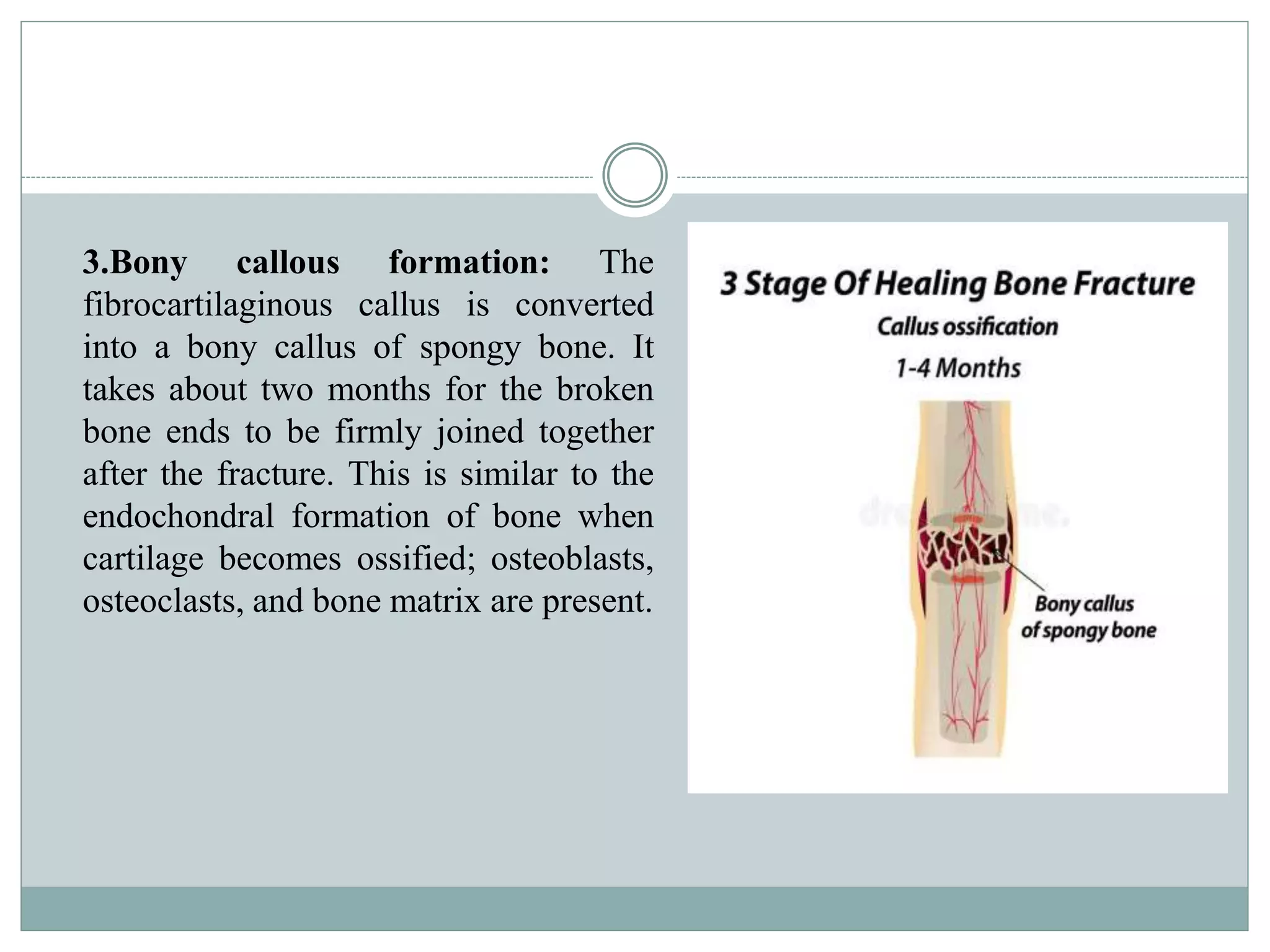 The musculoskeletal system Anatomy and physiology | PPTX