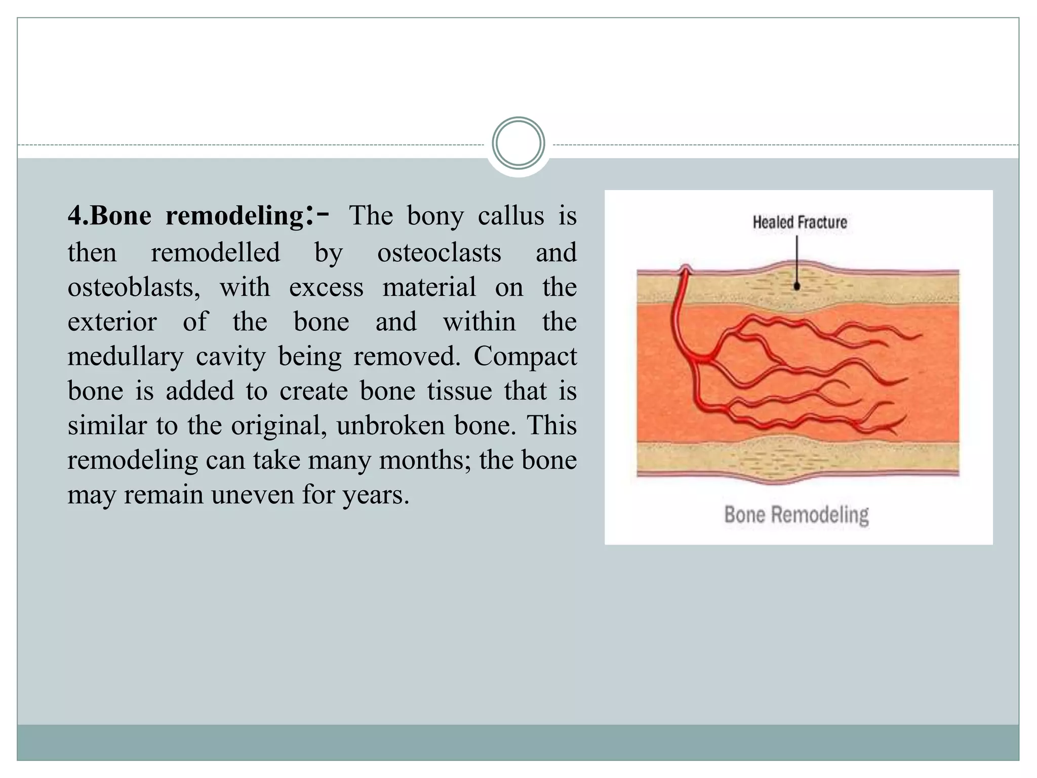 The musculoskeletal system Anatomy and physiology | PPTX