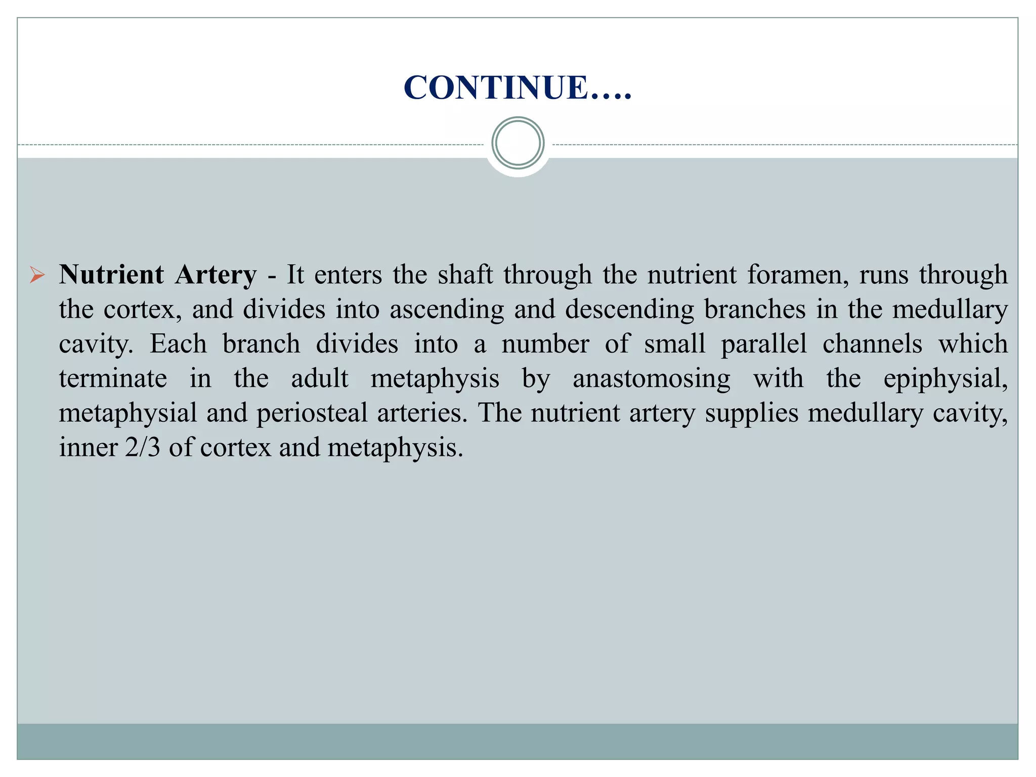 The musculoskeletal system Anatomy and physiology | PPTX