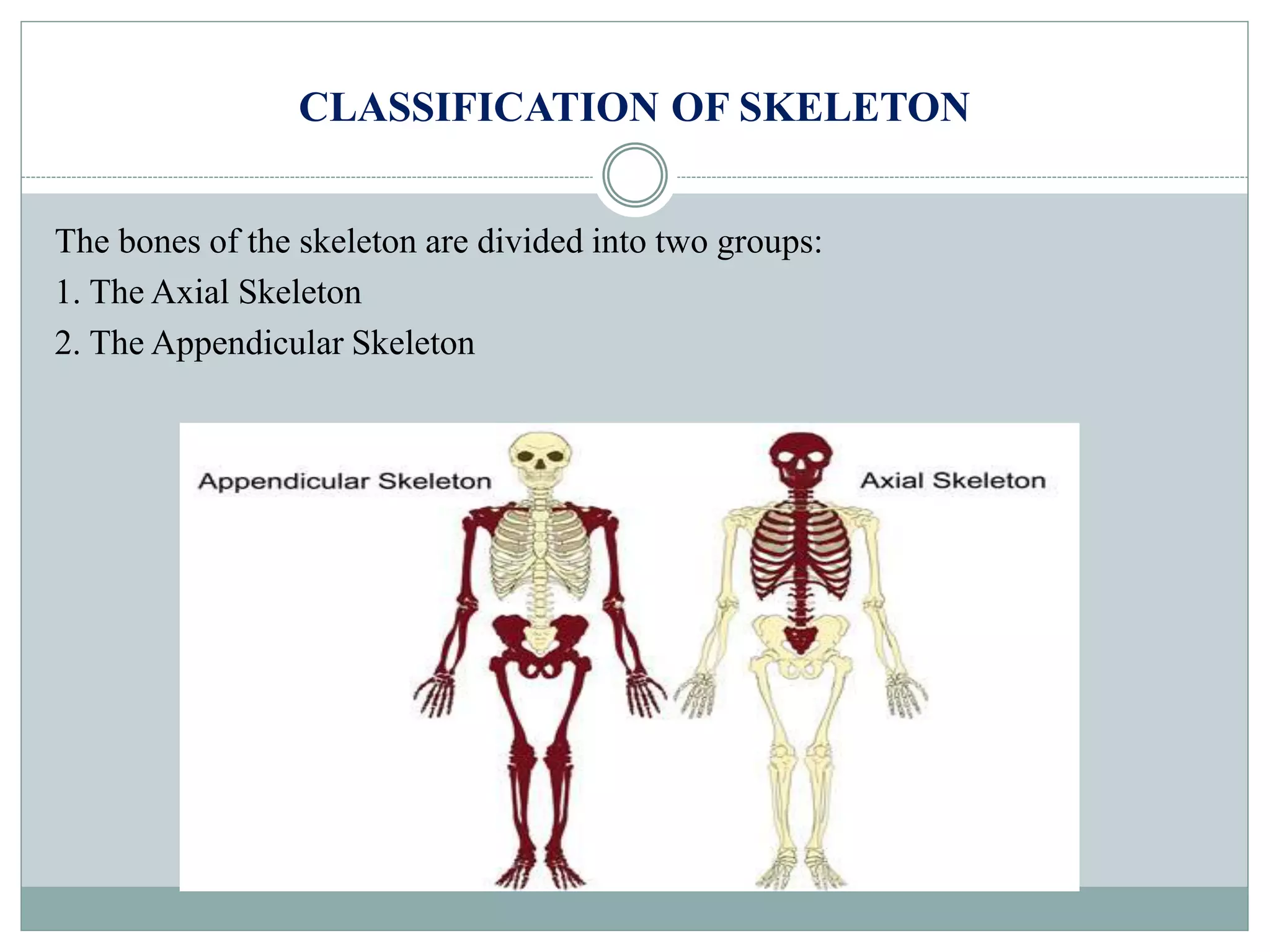 The musculoskeletal system Anatomy and physiology | PPTX