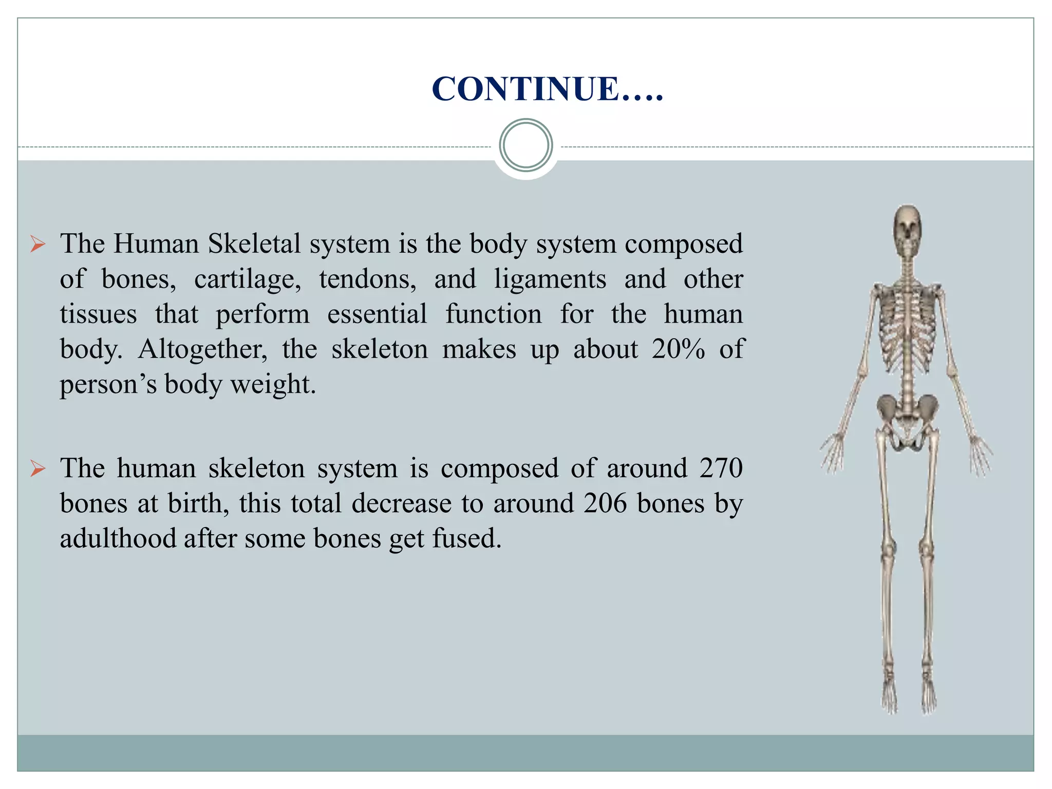 The musculoskeletal system Anatomy and physiology | PPTX