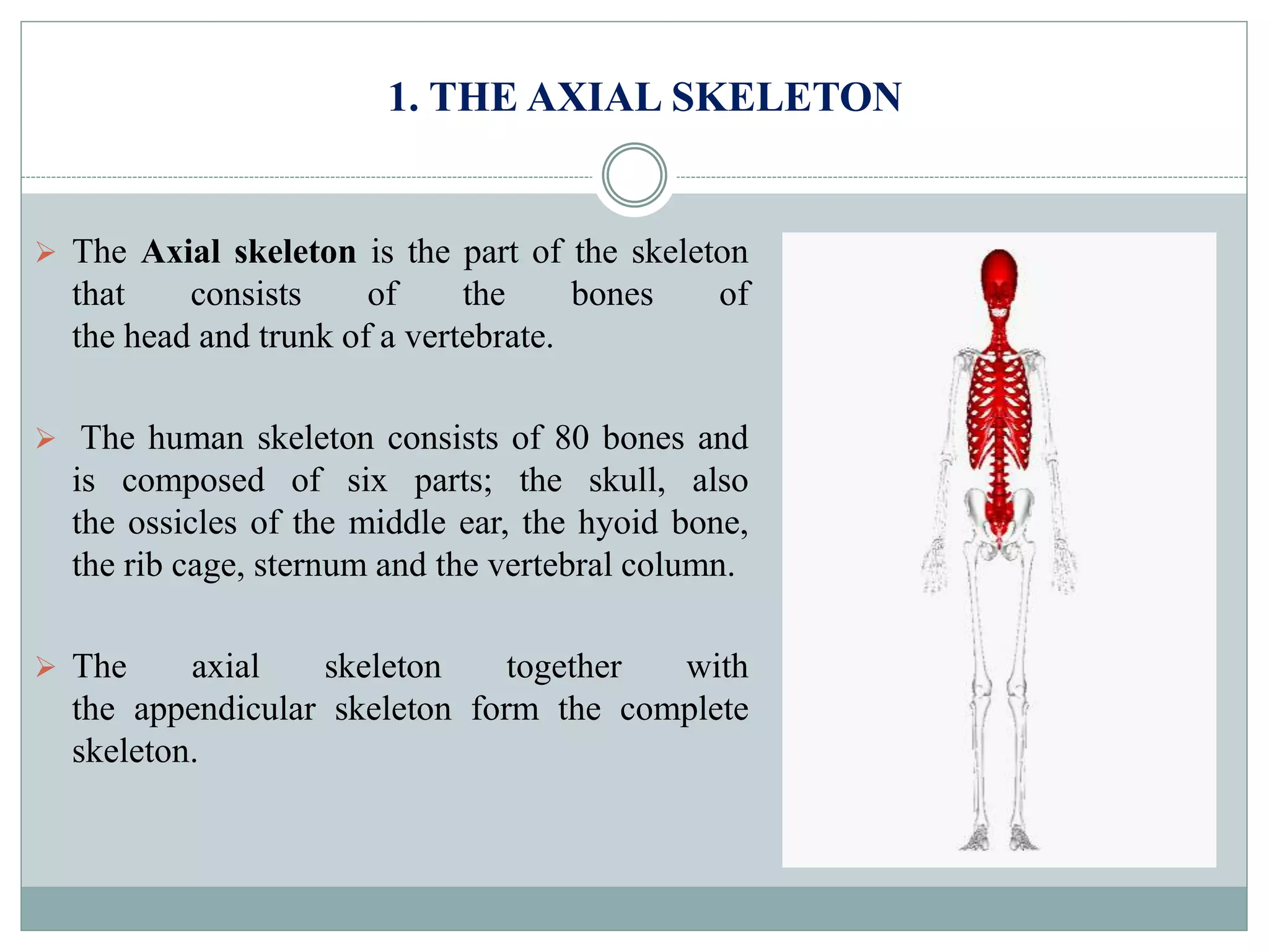 The musculoskeletal system Anatomy and physiology | PPTX