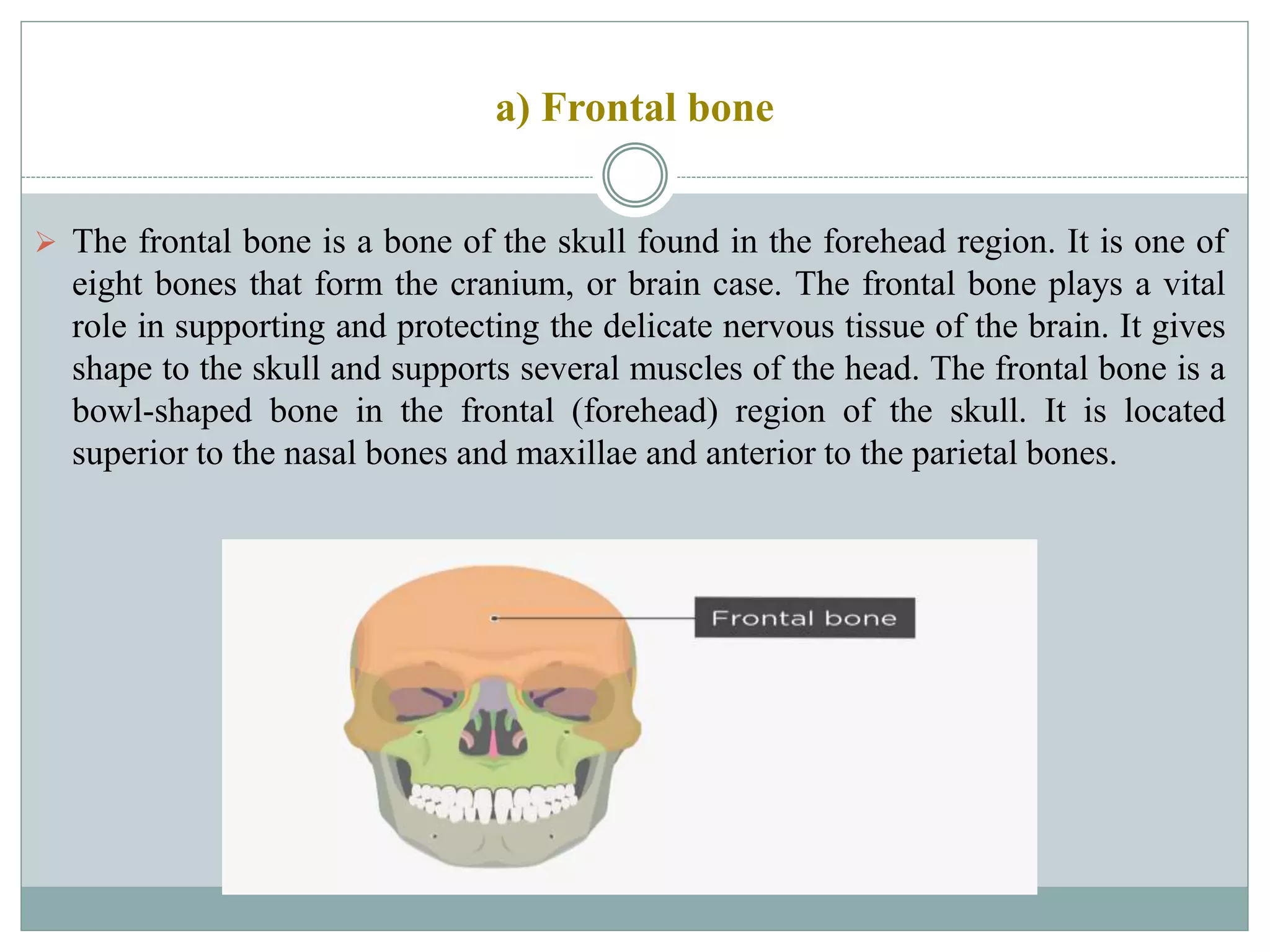The musculoskeletal system Anatomy and physiology | PPTX