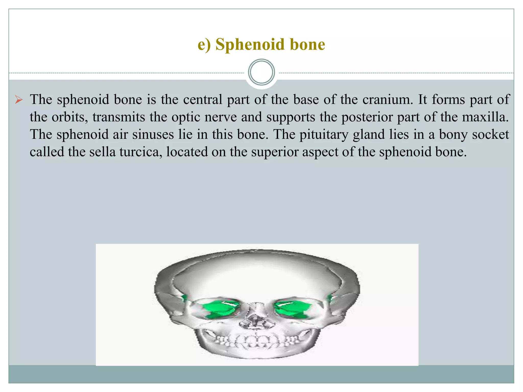 The musculoskeletal system Anatomy and physiology | PPTX