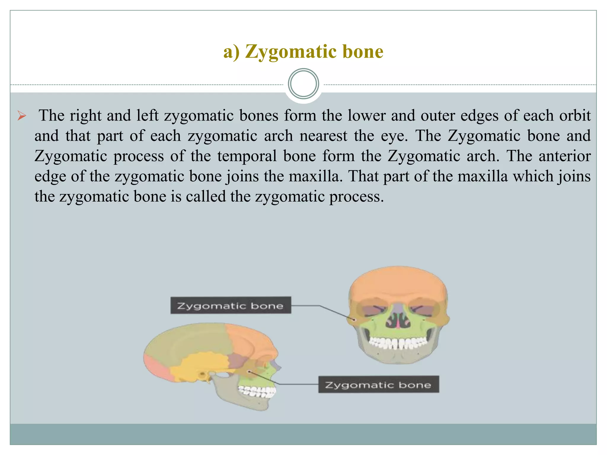 The musculoskeletal system Anatomy and physiology | PPTX