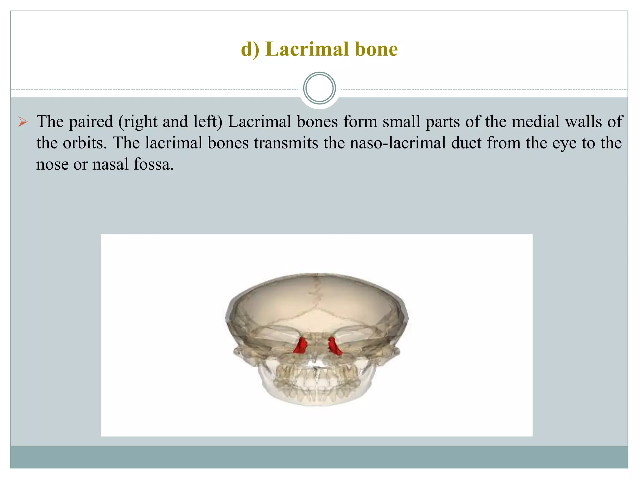 The musculoskeletal system Anatomy and physiology | PPTX