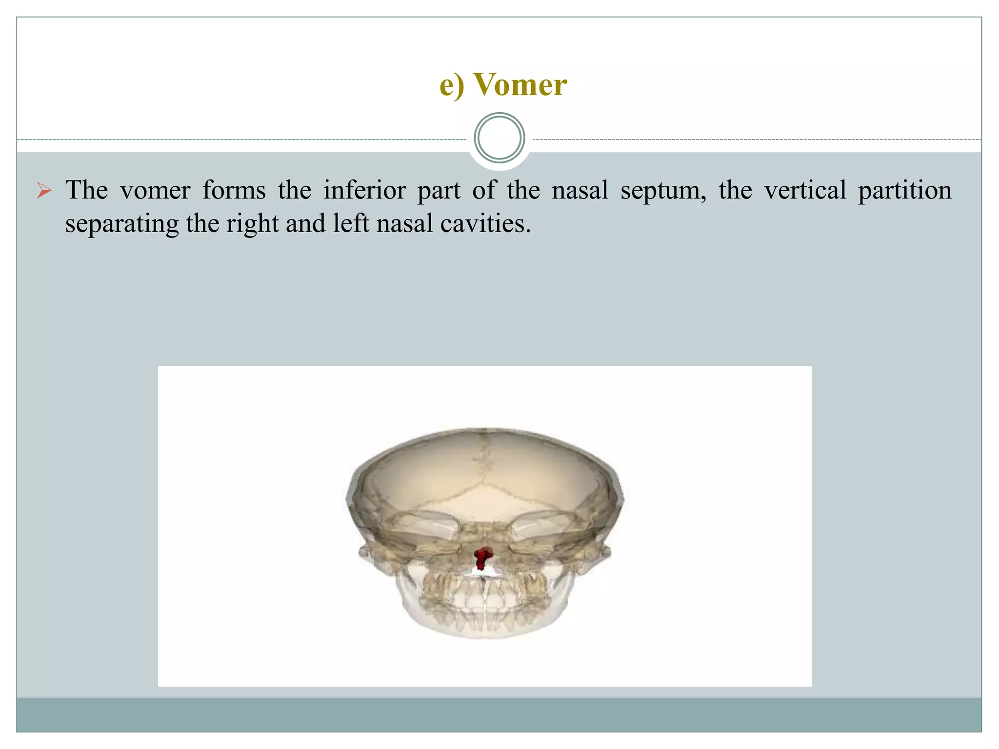 The musculoskeletal system Anatomy and physiology | PPTX
