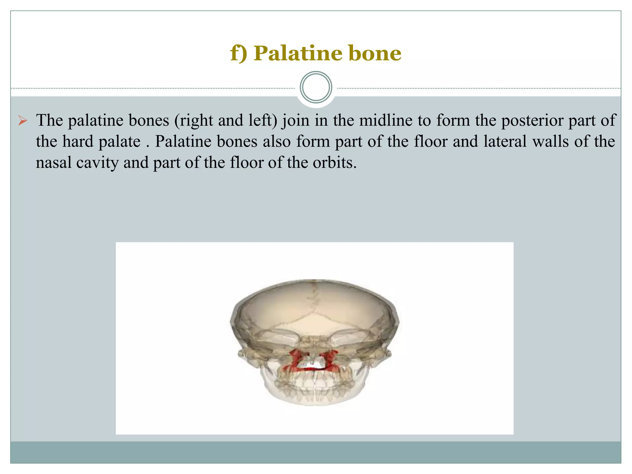 The musculoskeletal system Anatomy and physiology | PPTX