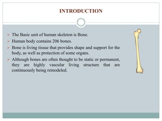 The musculoskeletal system Anatomy and physiology | PPTX