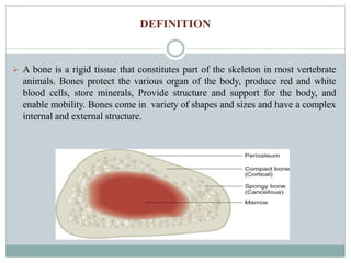The musculoskeletal system Anatomy and physiology | PPTX