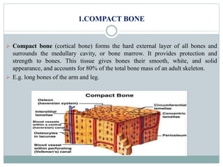 The musculoskeletal system Anatomy and physiology | PPTX