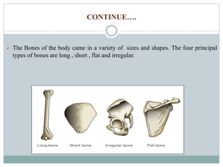 The musculoskeletal system Anatomy and physiology | PPTX