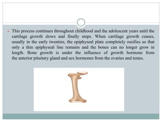 The musculoskeletal system Anatomy and physiology | PPTX