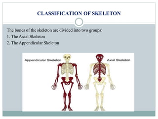 The musculoskeletal system Anatomy and physiology | PPTX