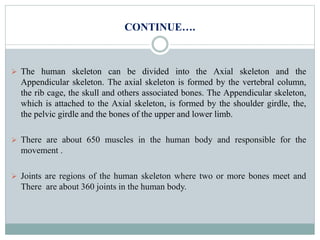 The musculoskeletal system Anatomy and physiology | PPTX
