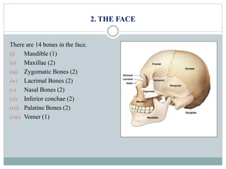 The musculoskeletal system Anatomy and physiology | PPTX