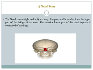 The musculoskeletal system Anatomy and physiology | PPTX