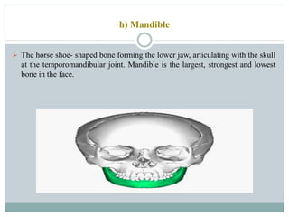 The musculoskeletal system Anatomy and physiology | PPTX