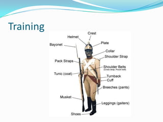 The musket age | PPT