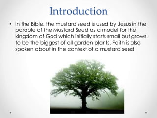 The Mustard Seed by The Church of Christ, Sangotedo | PPT